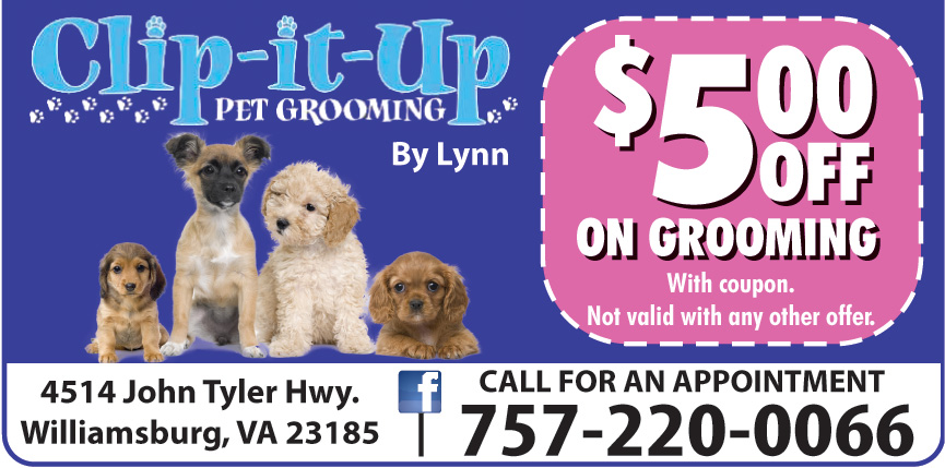 $5.00 OFF ON GROOMING | Online Printable Coupons: USA Local Free ...