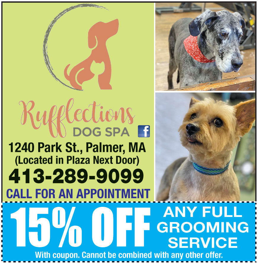 15% OFF ON ANY FULL GROOMING SERVICE | Online Printable Coupons: USA ...